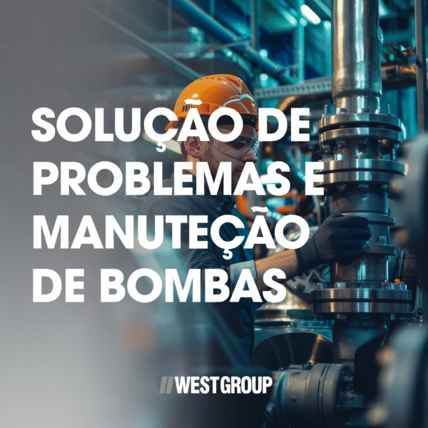 SOLUÇÃO DE PROBLEMAS E MANUTENÇÃO DE BOMBAS (PUMP MAINTENANCE AND ...