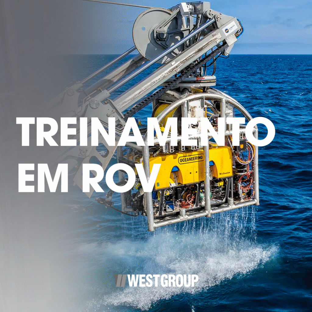 Acesso por Cordas N3 - IRATA - West Group